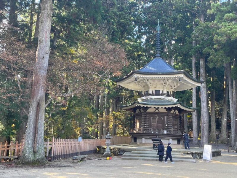 Mount Koya: Full-Day Private Guided Tour From Osaka - Inclusions
