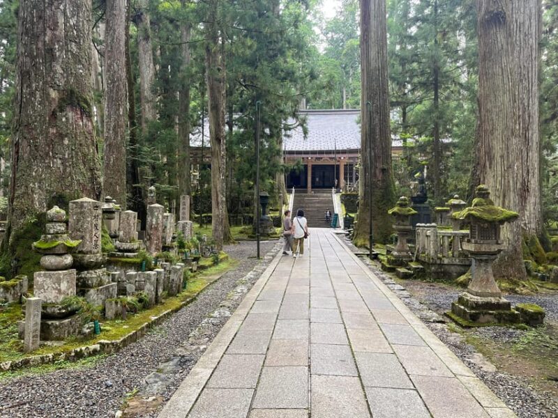 Mount Koya: Full-Day Private Guided Tour From Osaka - Exploring the Sacred Sites
