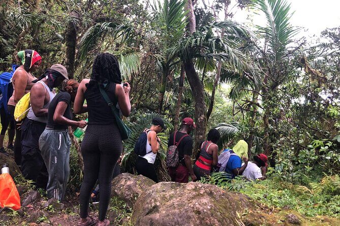 Mount Liamuiga Volcano Hike St Kitts Highest peak - An Introduction to the Mount Liamuiga Hike