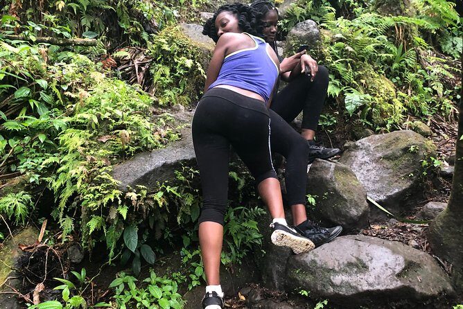 Mount Liamuiga Volcano Tours - What’s Included and How It Works