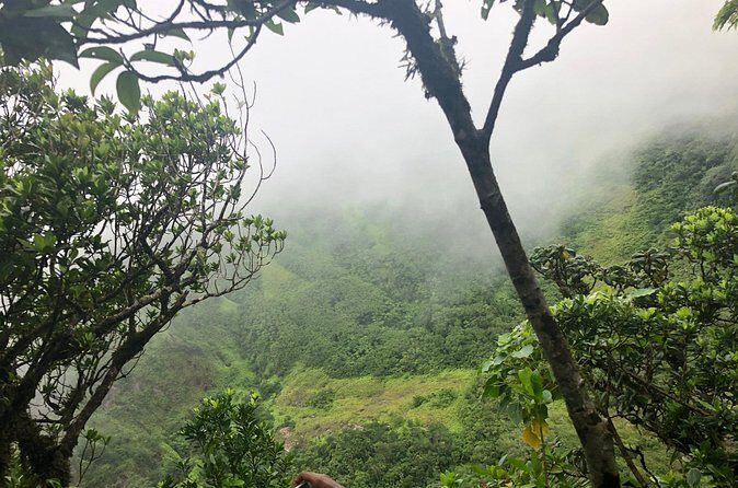 Mount Liamuiga Volcano Tours - Practical Tips for Travelers