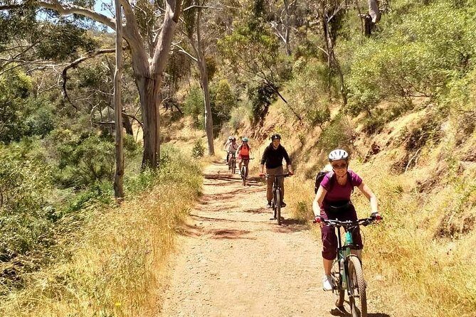 Mount Lofty Descent Bike Tour from Adelaide - What Makes This Tour a Great Value?