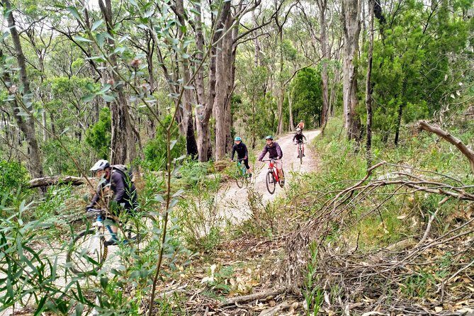 Mount Lofty Descent Bike Tour from Adelaide - FAQ