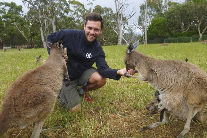Mount Lofty Downhill Bike Tour & Cleland Wildlife Park Visit - FAQ