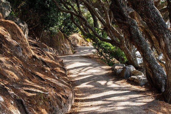 Mount Maunganui, Tauranga Day Tour from Auckland - Frequently Asked Questions