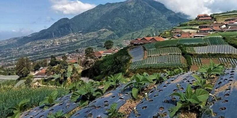 Mount Merbabu Hiking Tour 2D1N With Camping - Authentic Experiences and Real Travelers’ Thoughts