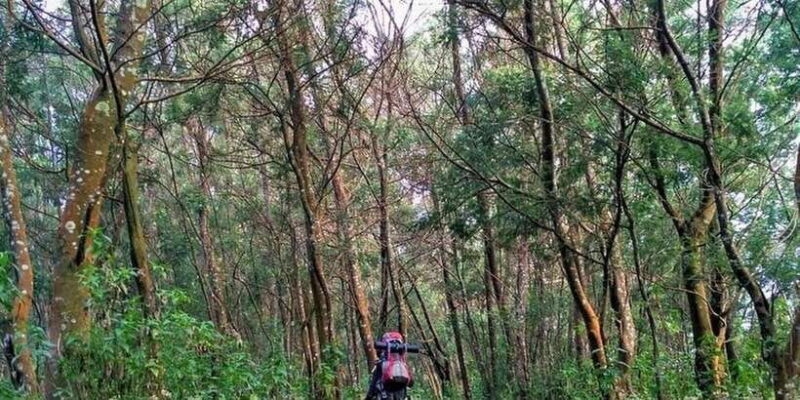 Mount Merbabu Hiking Tour 2D1N With Camping - FAQ