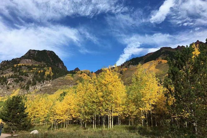 Mount Rainier National Park Day Tour from Seattle - Final Thoughts