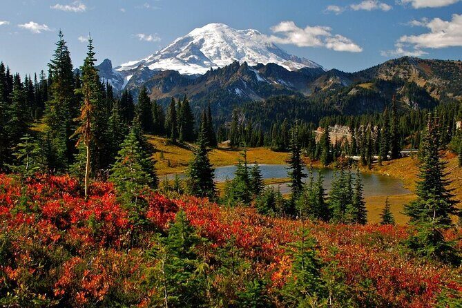 Mount Rainier Tour from Seattle - Key Points