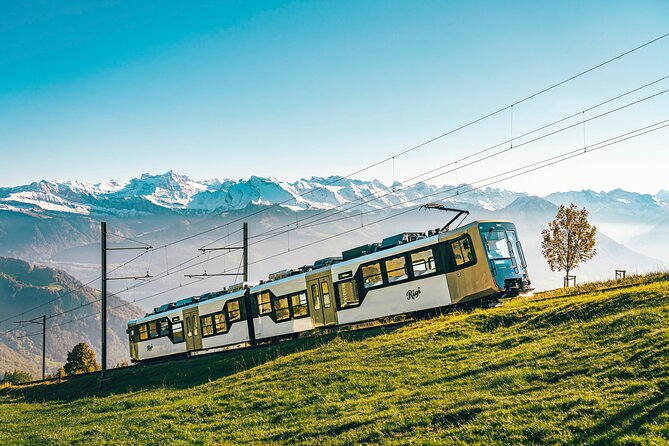 Mount Rigi Day Ticket - Ticket Exclusions