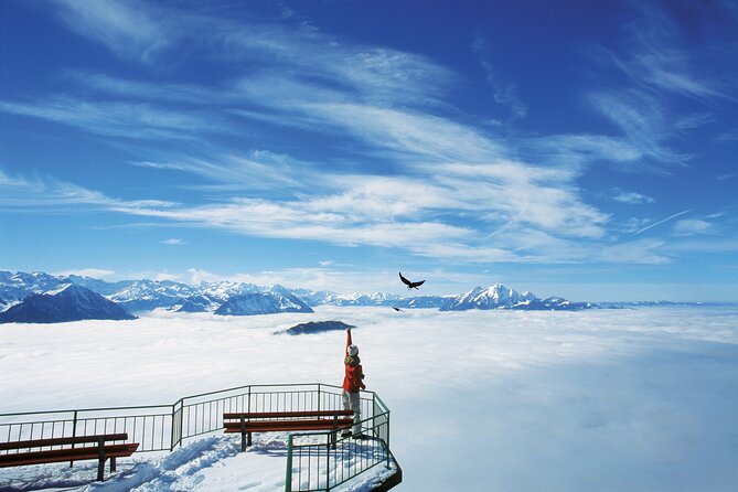 Mount Rigi Day Ticket - Accessibility and Children Policy
