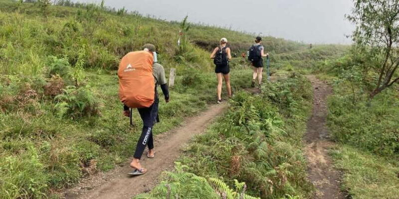 Mount Rinjani Trekking 3Days/2nights Summit Lake Hotspring - Authentic Traveler Feedback