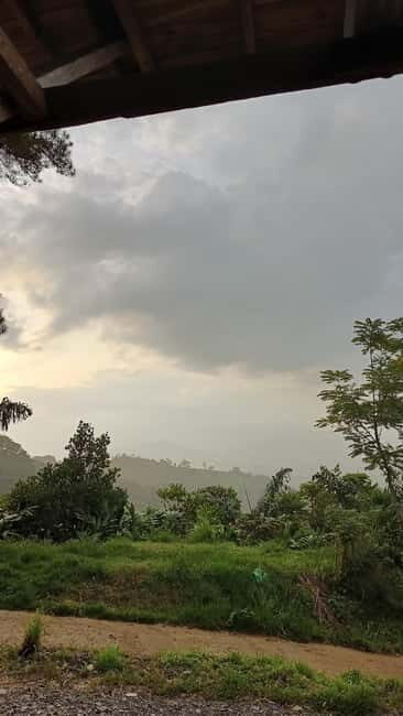Mount Sago: Summit Zen & Palm Sugar Tour" - Who Should Consider This Tour?