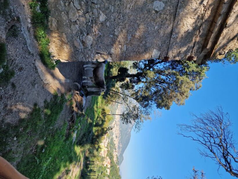 Mount San Liberatore hike - Vietri - Amalfi coast. - Pricing and Value