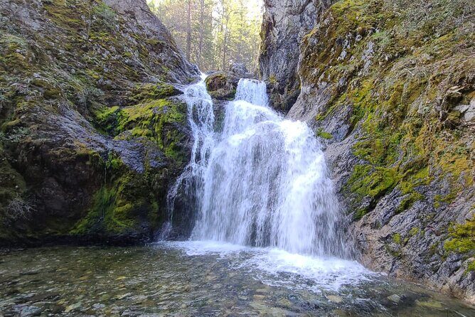 Mount Shasta Sacred Tour - The Value of a Private, Guided Spiritual Journey