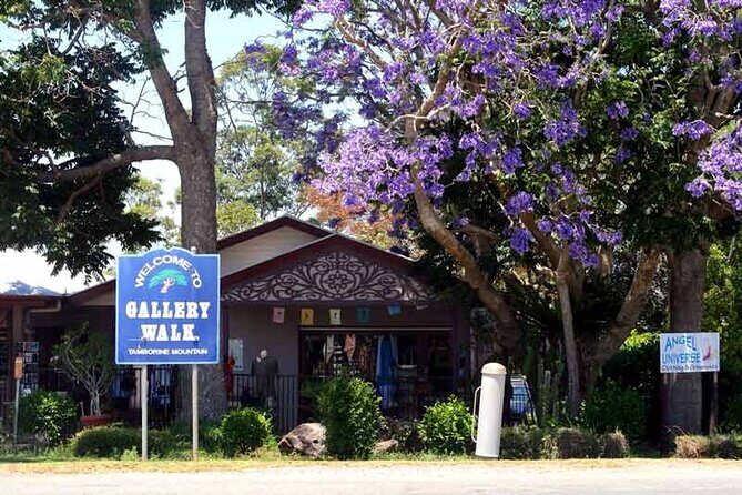 Mount Tamborine Hop on Hop off Bus from Brisbane - Key Points