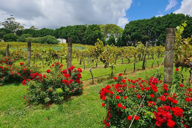 Mount Tamborine Wine Tasting Tour from Brisbane or the Gold Coast - FAQs
