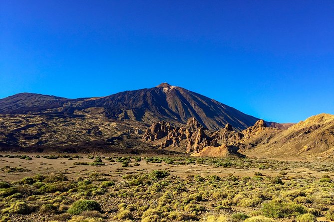 Mount Teide and Teno Country Park Private Tour - Pickup Information