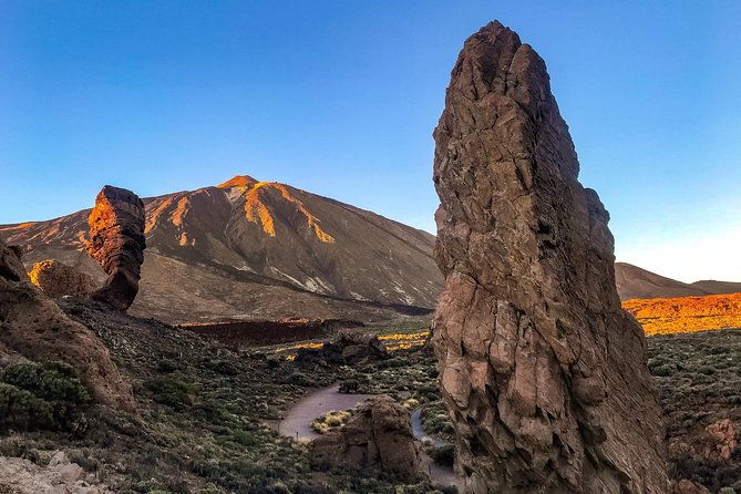 Mount Teide and Teno Country Park Private Tour - Participation Requirements
