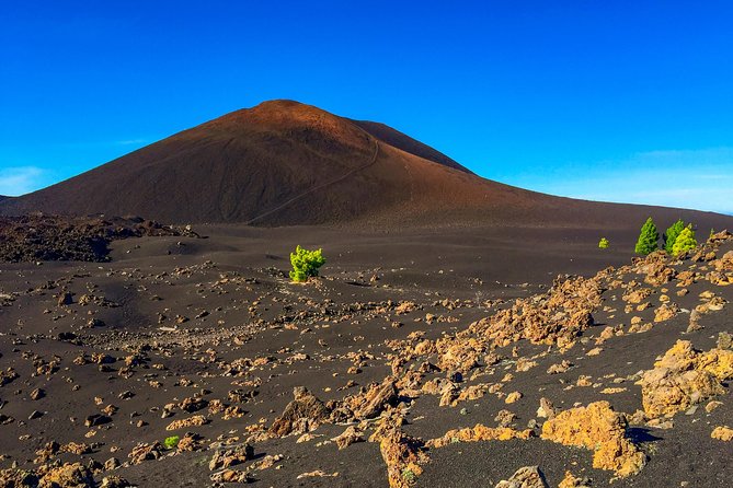 Mount Teide and Teno Country Park Private Tour - Preparing for Your Adventure