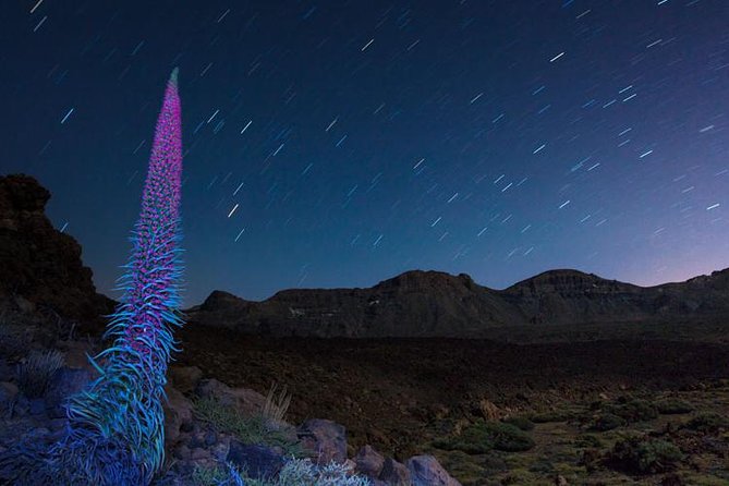 Mount Teide Night Tour: Stargazing, Dinner and Hotel Pick up - Itinerary