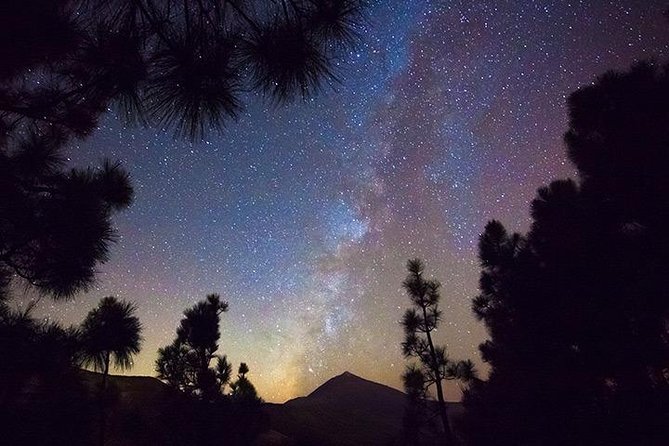Mount Teide Night Tour: Stargazing, Dinner and Hotel Pick up - Customer Feedback