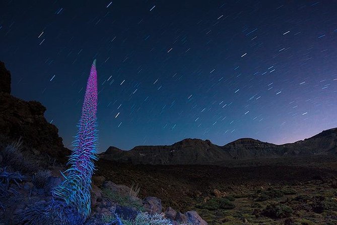Mount Teide Night Tour: Stargazing, Dinner and Hotel Pick up - Pricing and Inclusions