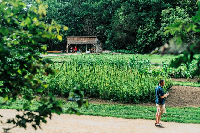 Mount Vernon and Old Town Alexandria Day Trip from Washington DC - Final Thoughts