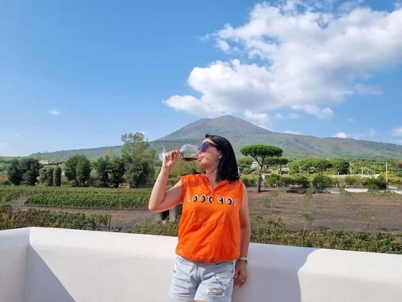 Mount Vesuvius: 5 Wine Tastings with Tour & Lunch Included - Key Points