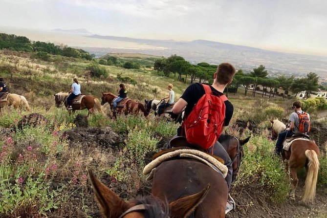 Mount Vesuvius Guided Horse Riding Tour With Sample Wine - Transportation and Logistics