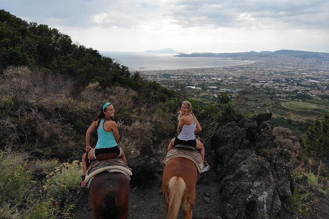 Mount Vesuvius Guided Horse Riding Tour With Sample Wine - Inclusions and Amenities