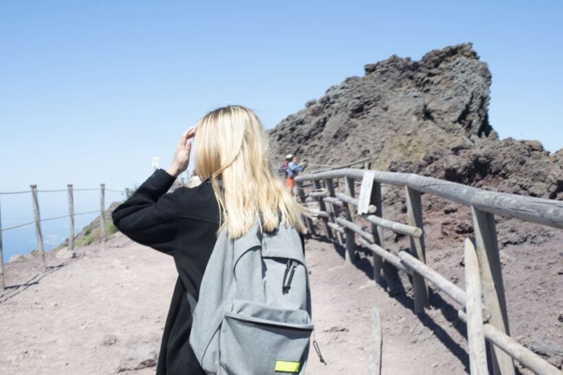 Mount Vesuvius: Skip-the-Line Ticket and Audio Guide - Who Will Love This Tour?