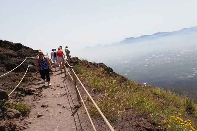 Mount Vesuvius Tour by Bus and Ticket Included From Ercolano - Guest Feedback and Experiences