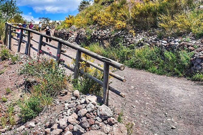 Mount Vesuvius Tour with Entry Ticket & Lunch from Sorrento - FAQ