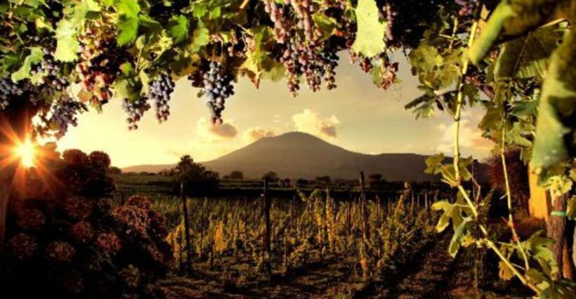 Mount Vesuvius Wine Tasting and Lunch from Pompeii - Final Thoughts