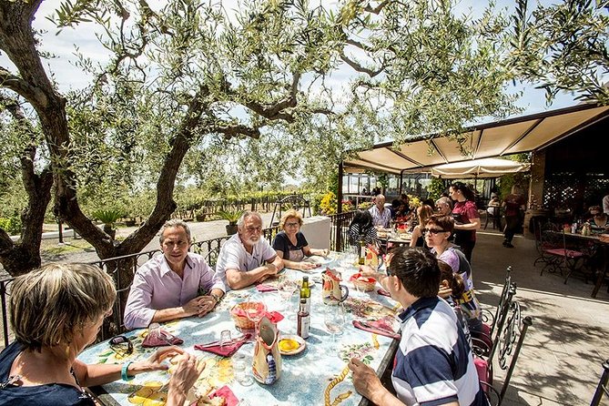 Mount Vesuvius & Wine Tasting with Lunch Private Tour - Logistics and Practical Tips