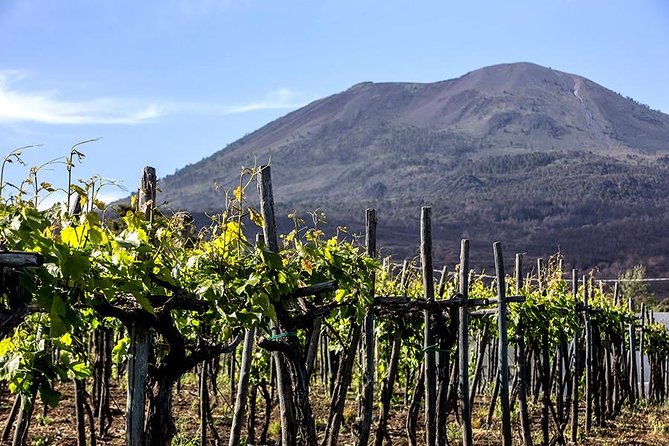 Mount Vesuvius & Wine Tasting with Lunch Private Tour - Authentic Experiences That Shine