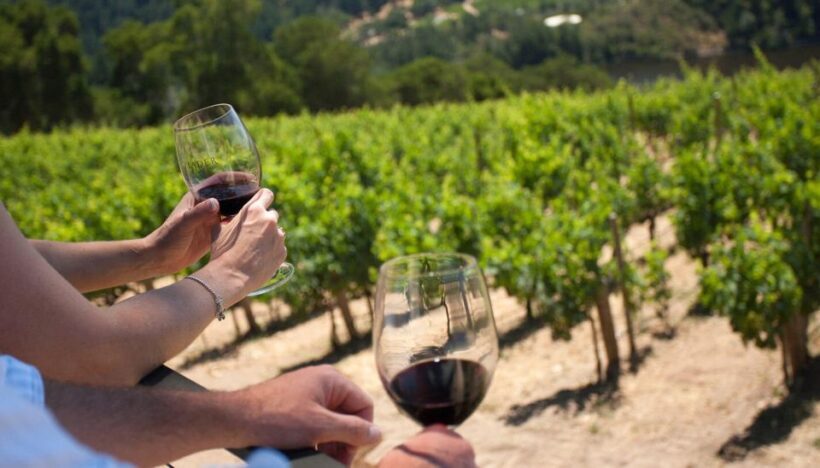 Mount Vesuvius Wine Tour with Tastings and Lunch - The Bottom Line