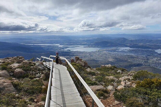 Mount Wellington Pinnacle 2 Hours Small Group Tour - Reaching the Pinnacle
