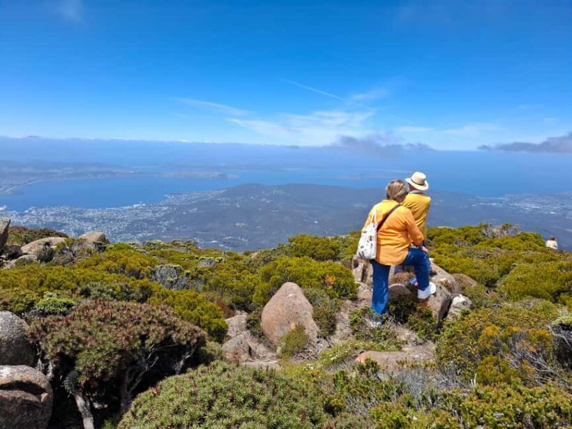 Mount Wellington Shore Excursion - The Experience from the Traveler’s Perspective