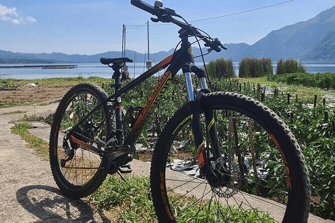 Mountain Bicycle Rental at Mount Batur - An Overview of the Bicycle Tour Experience