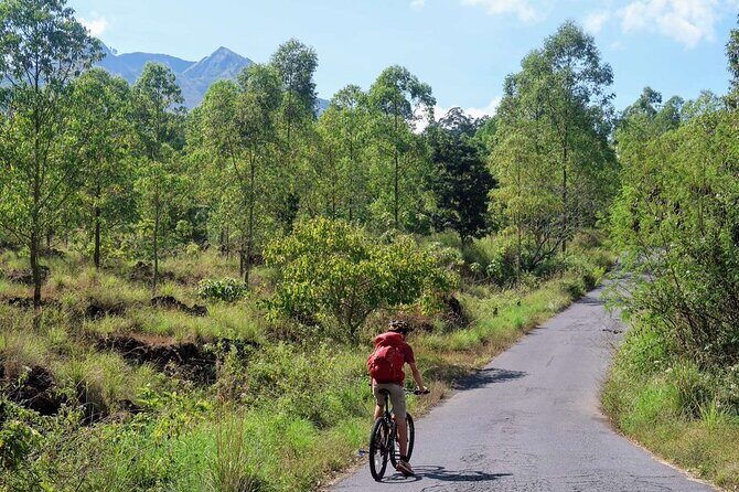 Mountain Bicycle Rental at Mount Batur - The Itinerary in Detail