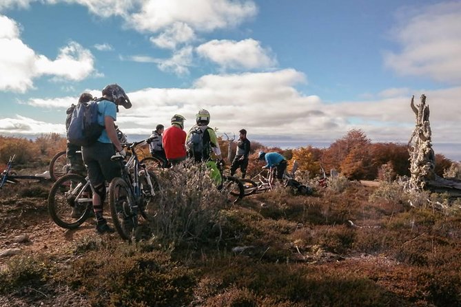 Mountain Bike Adventure in Punta Arenas - Encountering Native Wildlife