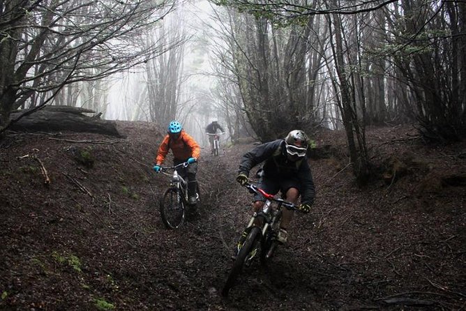 Mountain Bike Adventure in Punta Arenas - Customer Testimonials