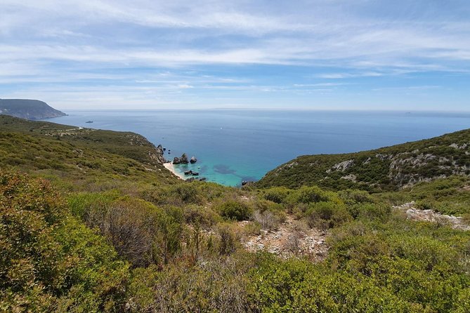 Mountain Bike Rental - Who Will Love This Experience?