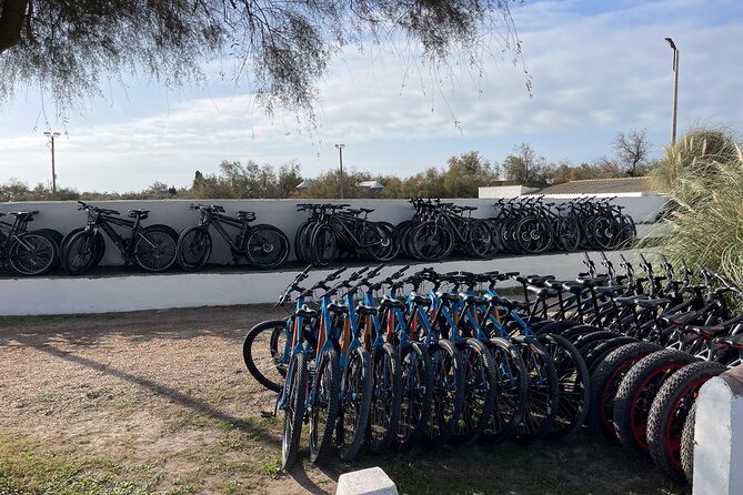 Mountain bike rental in Camargue - Detailed Breakdown of the Itinerary