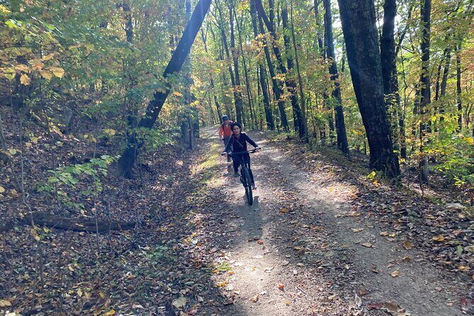 Mountain Bike Rentals by Chattanooga Guided Adventures - Who Will Love This Experience?