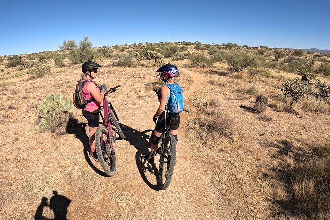 Mountain Bike Rentals - The Practicalities: Booking, Cost, and What You Need to Know