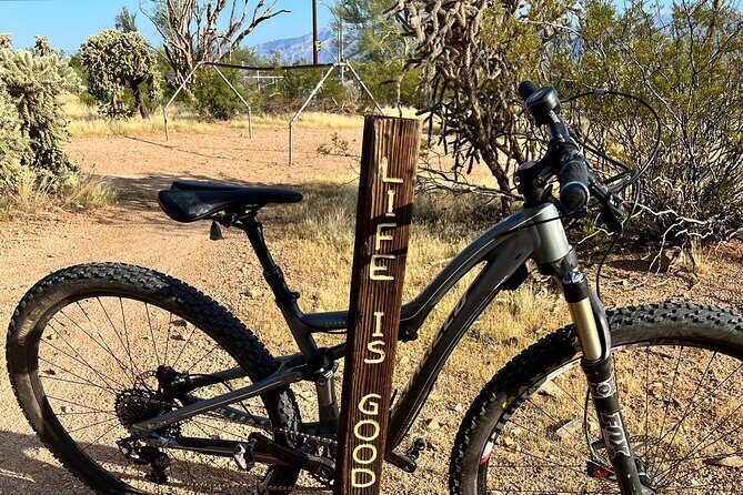 Mountain Bike Rentals - The Sum Up: Is It Worth It?