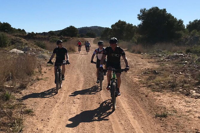 Mountain Bike Tour Font De La Mata - Booking Information